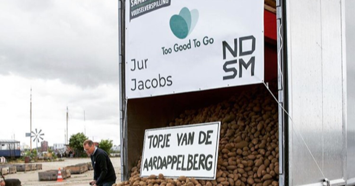 Goedkoop aardappels scheppen uit de pieperberg op de Costerweg in ...