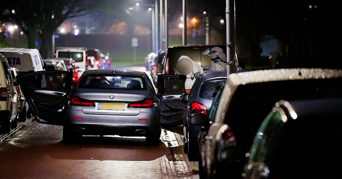 Dieven vechten met beveiliger Albert Heijn, nu mogen ze twee jaar ...