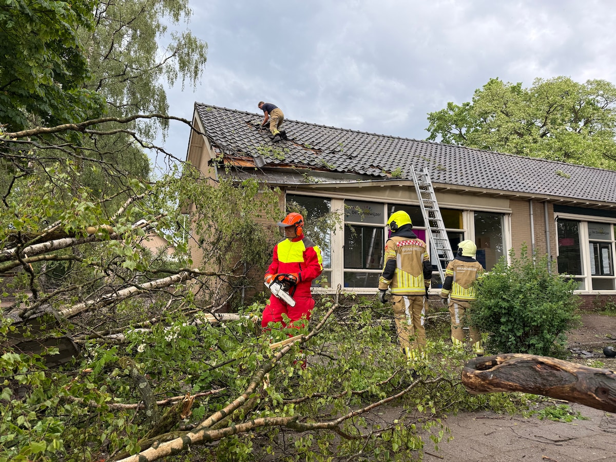 Noodweer in de regio: boom valt tegen school in Diepenveen, huishoudens ...