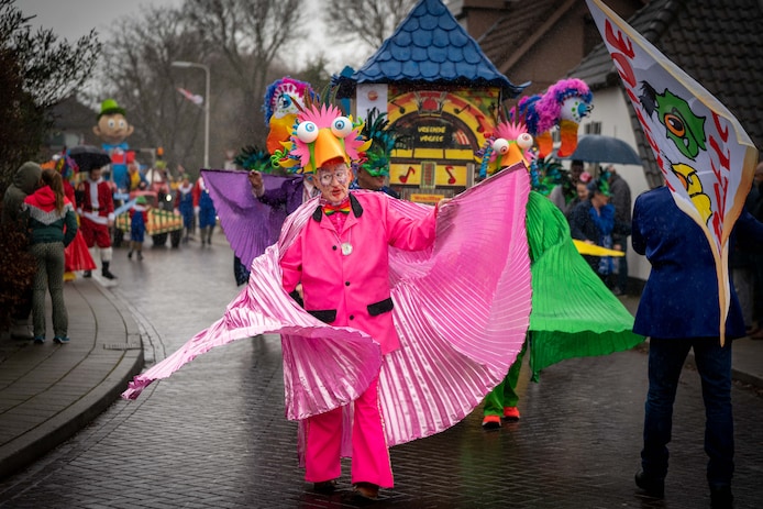Verlichte optocht Gendt publiekstrekker in regio: tien optochten ...