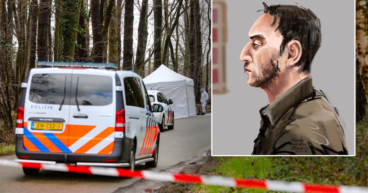 Jeremy van E. bekent doden Sylvia, maar ‘schuift schuld in haar ...