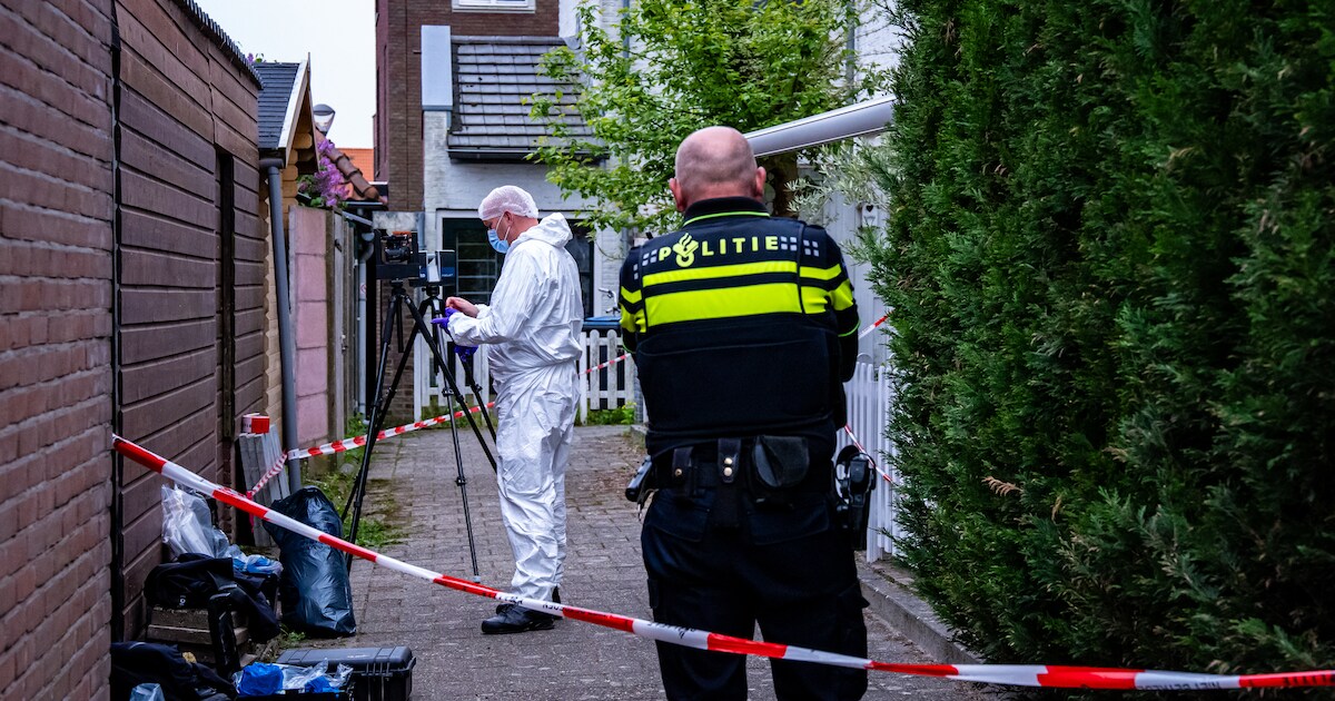 Moeders worden zelden vermoord: dader psychisch ernstiger gestoord dan ...