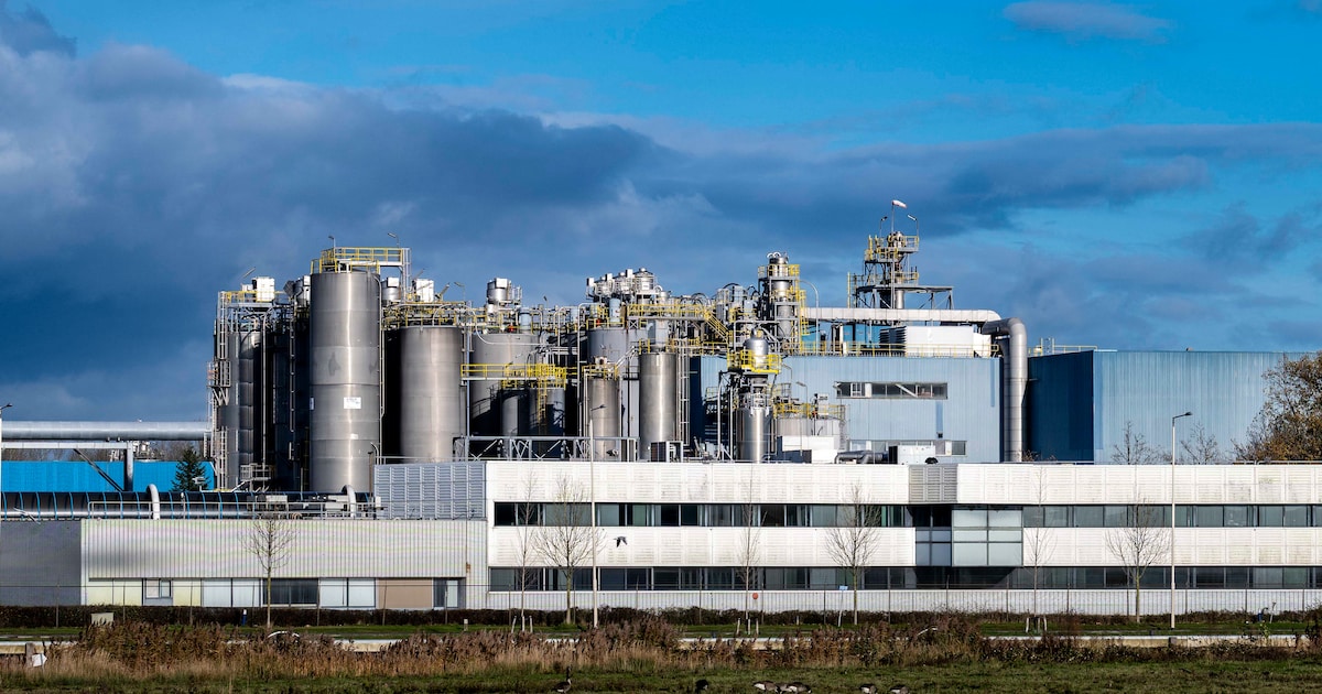 ‘We hadden eerder moeten ingrijpen’: Rijkswaterstaat dreigt Sabic met ...