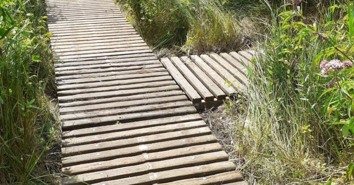 Populair wandelpad in Nijmeegse botanische tuin in beroerde staat, maar ...