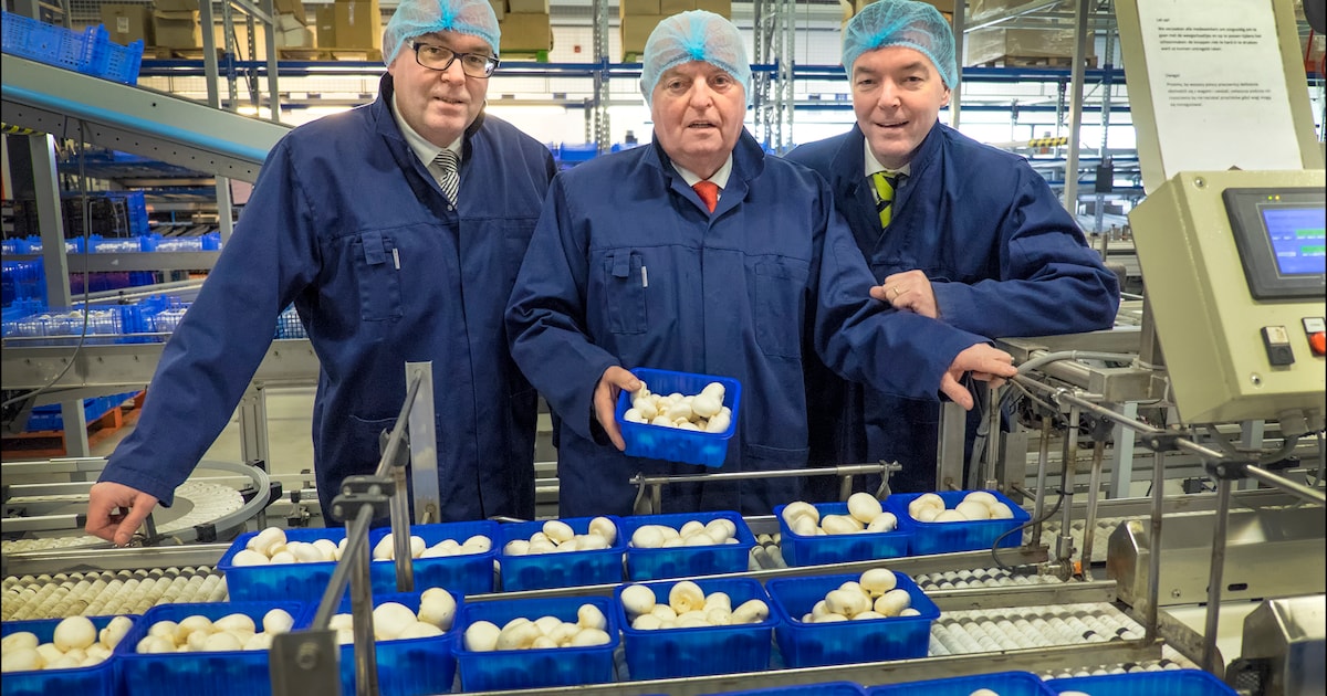 Henk heeft Banken Champignons eindelijk losgelaten: ‘Hij was gedreven ...