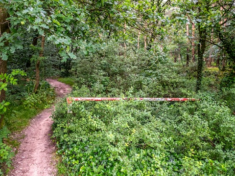 Vredes- en stiltewandeling vanuit Ven-Zelderheide | Gennep | De ...