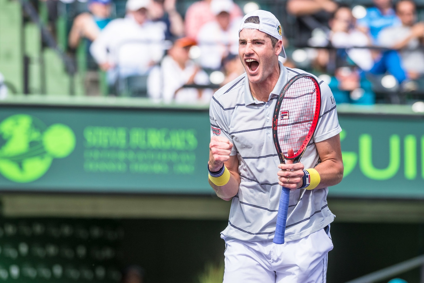 Isner roept stoomtrein Del Potro een halt toe | Foto | gelderlander.nl