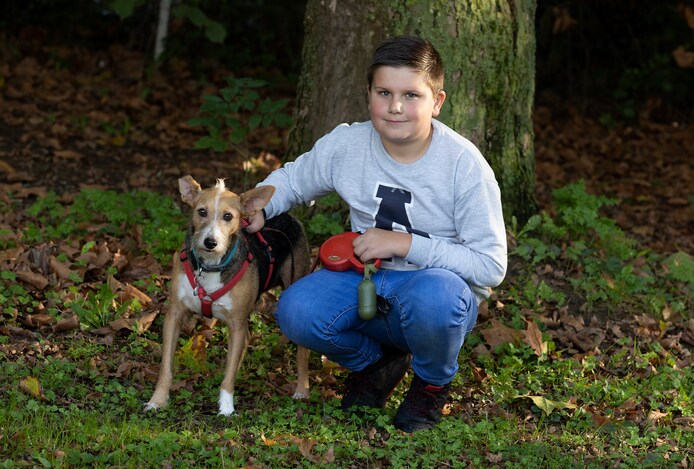 Is hond Raissa uit Tolkamer het leukste huisdier van het jaar? ‘Die ...