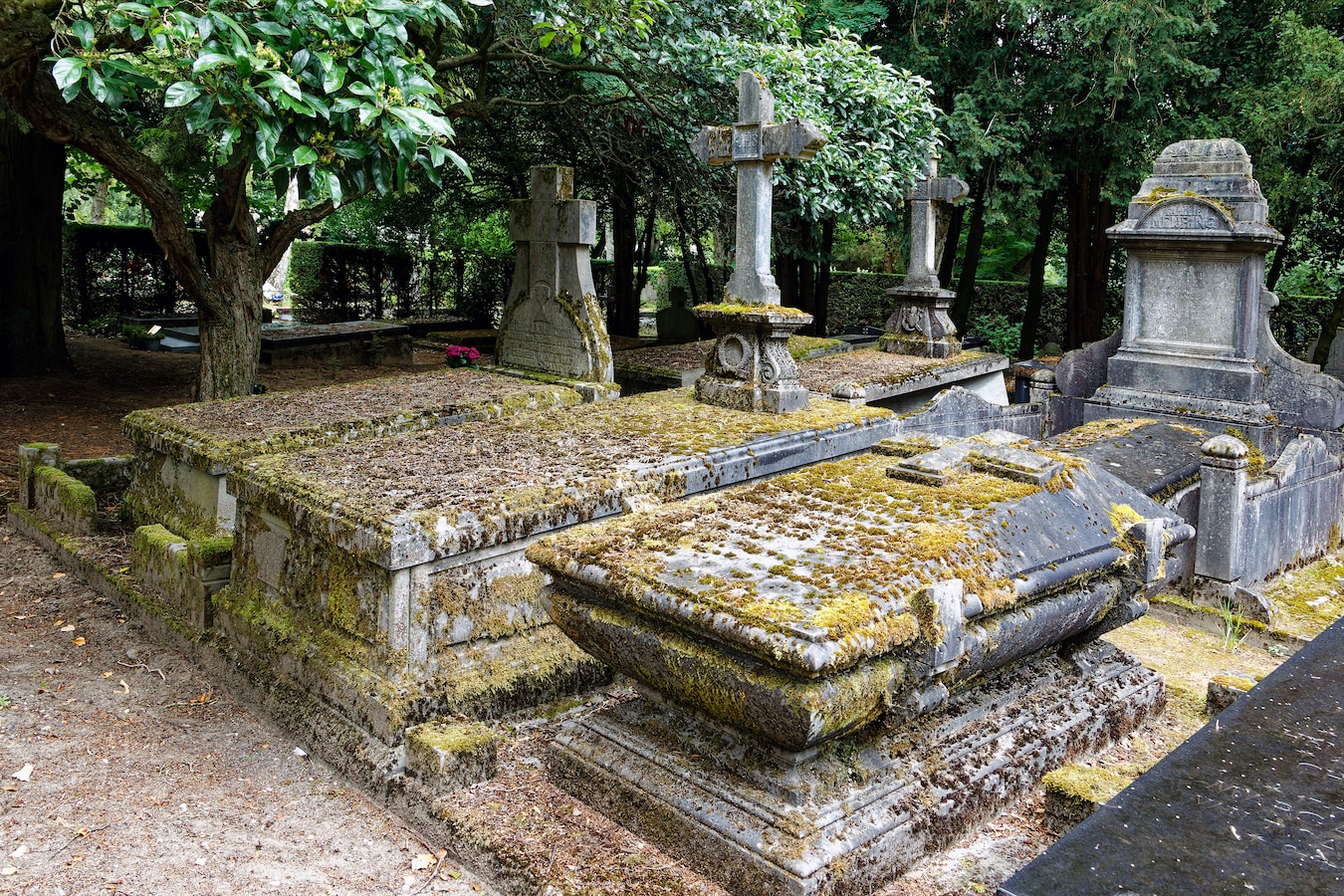 Begraafplaats Orthen, het ‘Père-Lachaise van Den Bosch’ krijgt ...