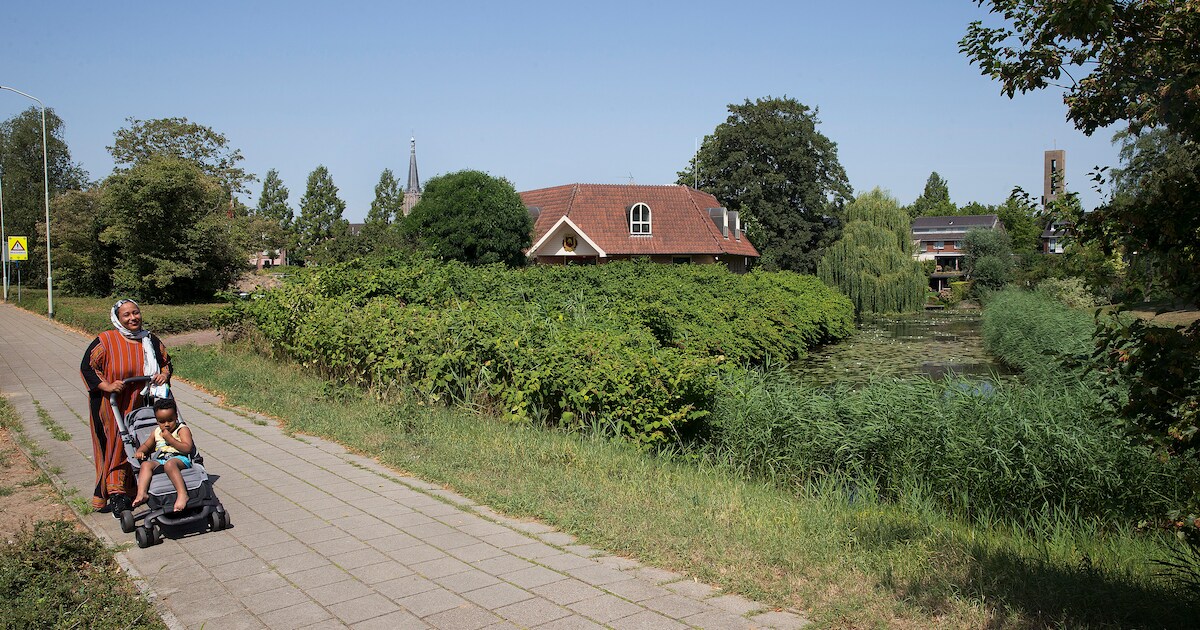 Nieuwe methode in strijd tegen groen monster; Doesburg elektrocuteert ...