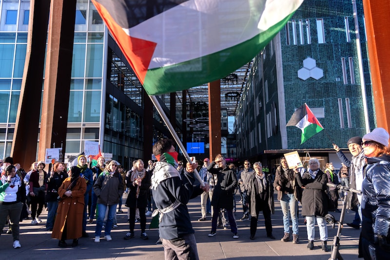 Demonstratie in Helmond tegen geweld in Gaza | Regio | De Gelderlander.nl