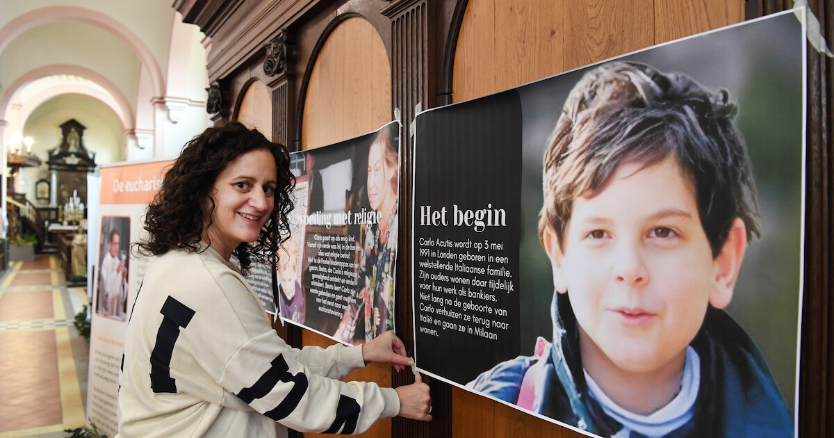 Tentoonstelling rondom Carlo, die in 2025 heilig is verklaard | Brabant ...