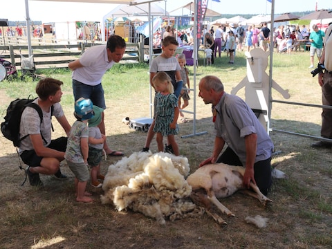 Weekendtips: deze dingen doe je in Ede (12-14 juni) | Regio | De ...