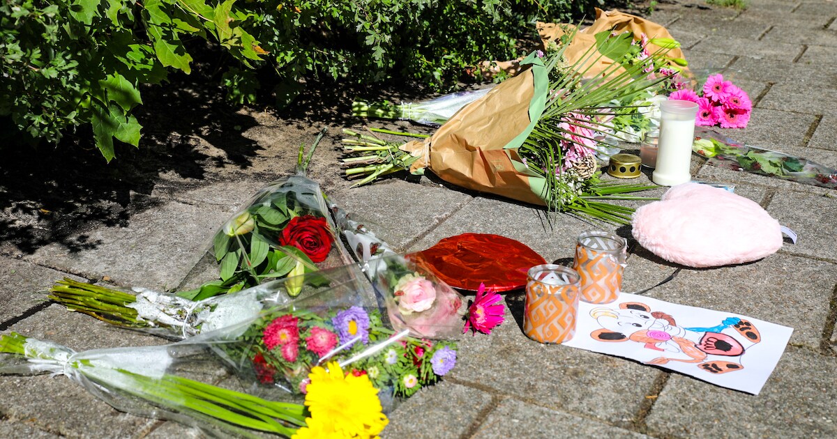 Zomerdag wordt gitzwart in Apeldoorn als Peshang (35) op zijn zus ...
