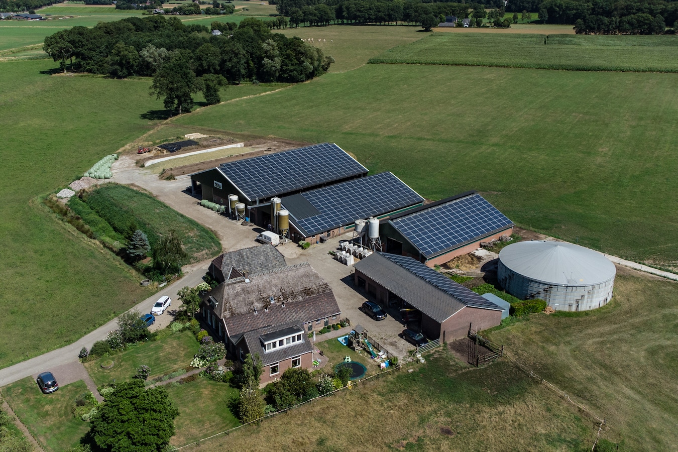Boeren uit Lochem en Laren gaan vol voor koeienmest-gas: ‘Draagt bij ...