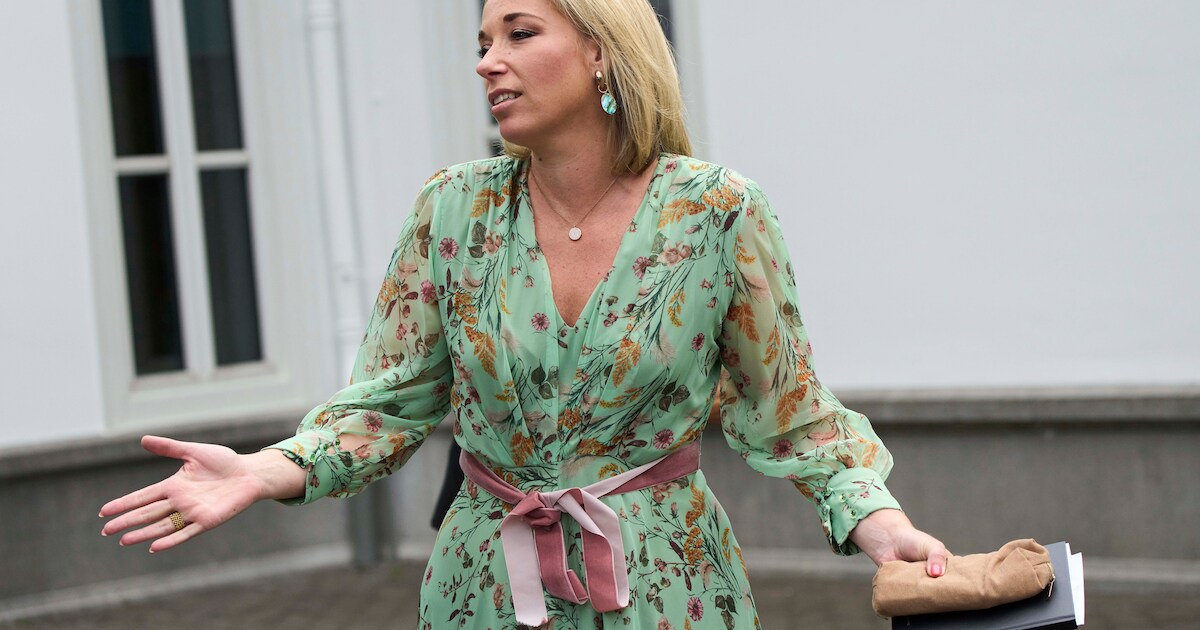 De ‘toptransfer’ van Coenradie kán iets losmaken op rechts | Politiek | gelderlander.nl