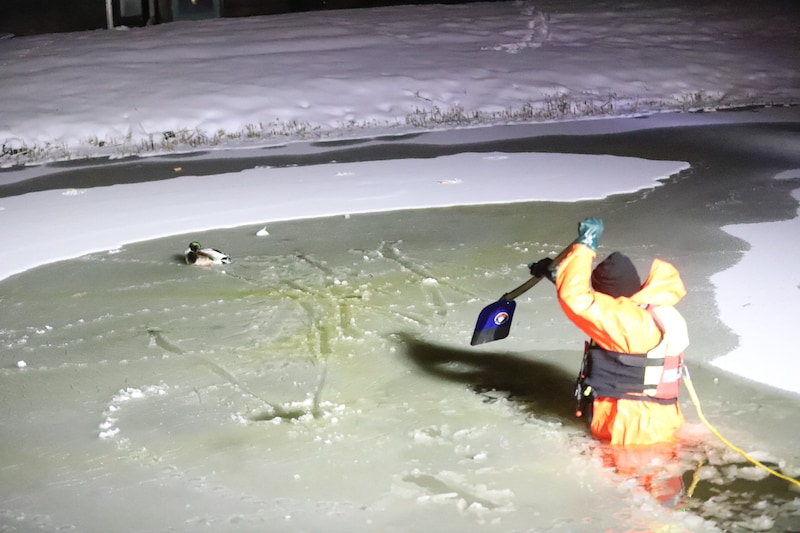 LIVE Winterweer | Tot zeker 10.00 uur geen NS-treinverkeer door ...