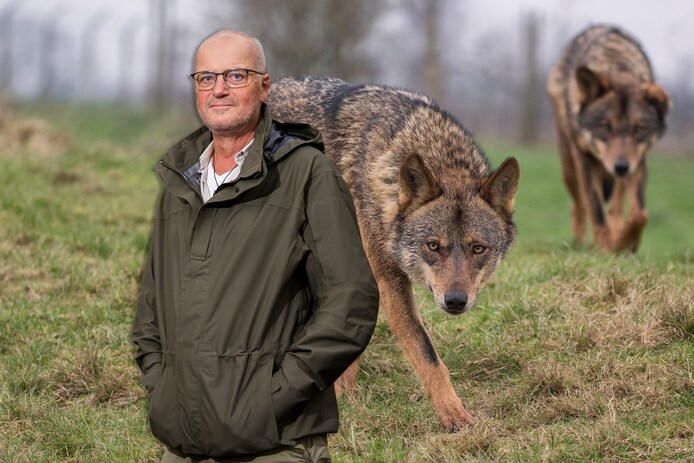 Deze wolvenkenner verkondigt een ander geluid dan wat je meestal hoort ...