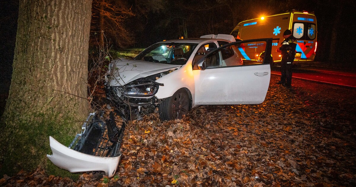 Automobilist botst tegen boom na uitwijkmanoeuvre op Cattepoelseweg in Arnhem | 112 nieuws ...