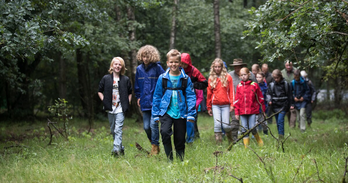 Teek is het gevaarlijkste dier tijdens nachtsafari Hoge Veluwe | Regio ...