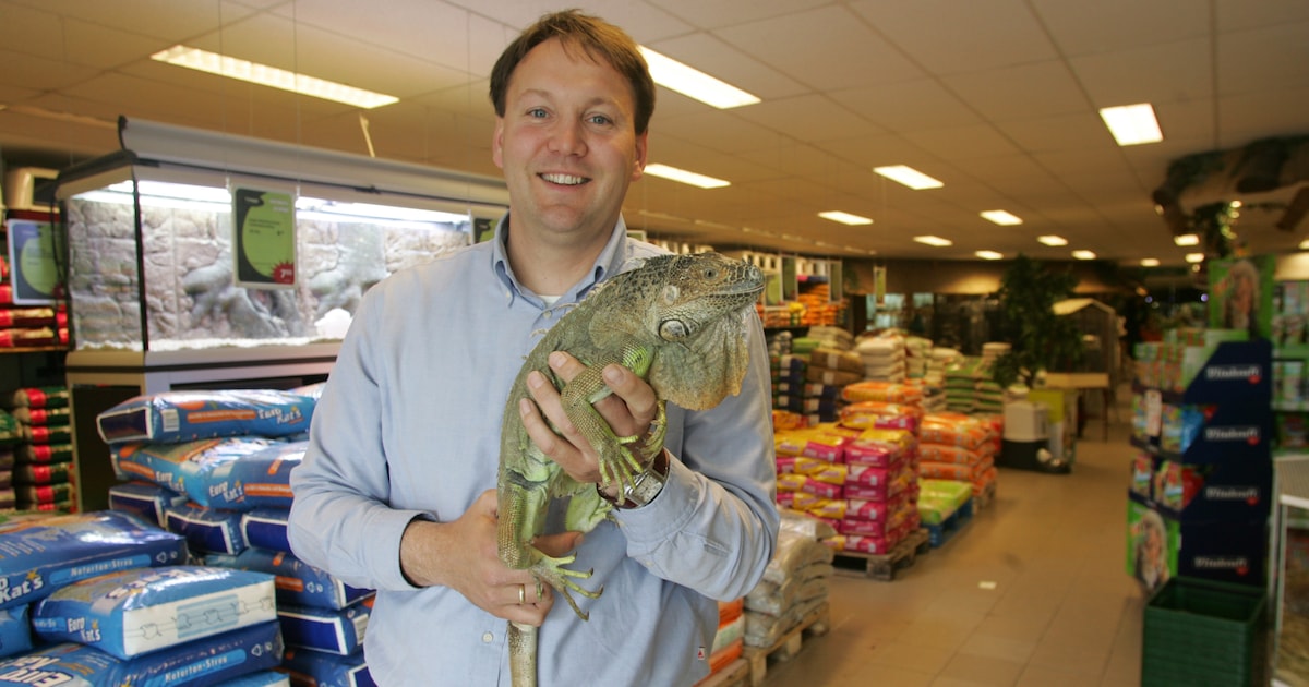 Na 31 jaar zegt Arnold (50) zijn slangen, papegaaien en dwergkrokodil ...