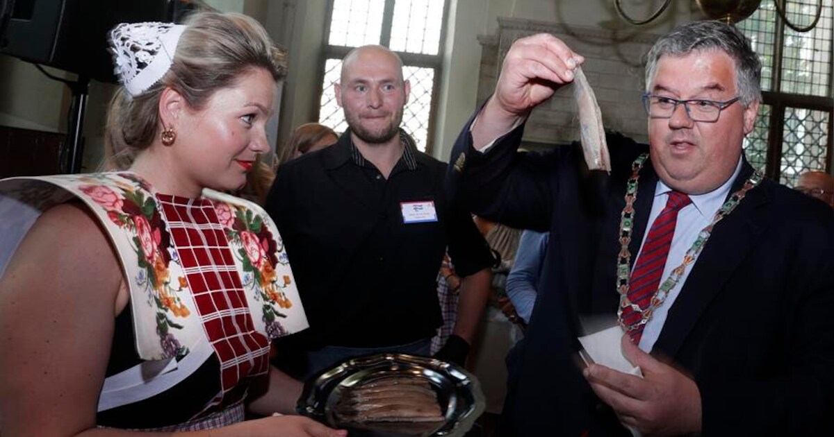 Haringparty terug in stadhuis, nu wel met verse haring en ‘echt geen ...