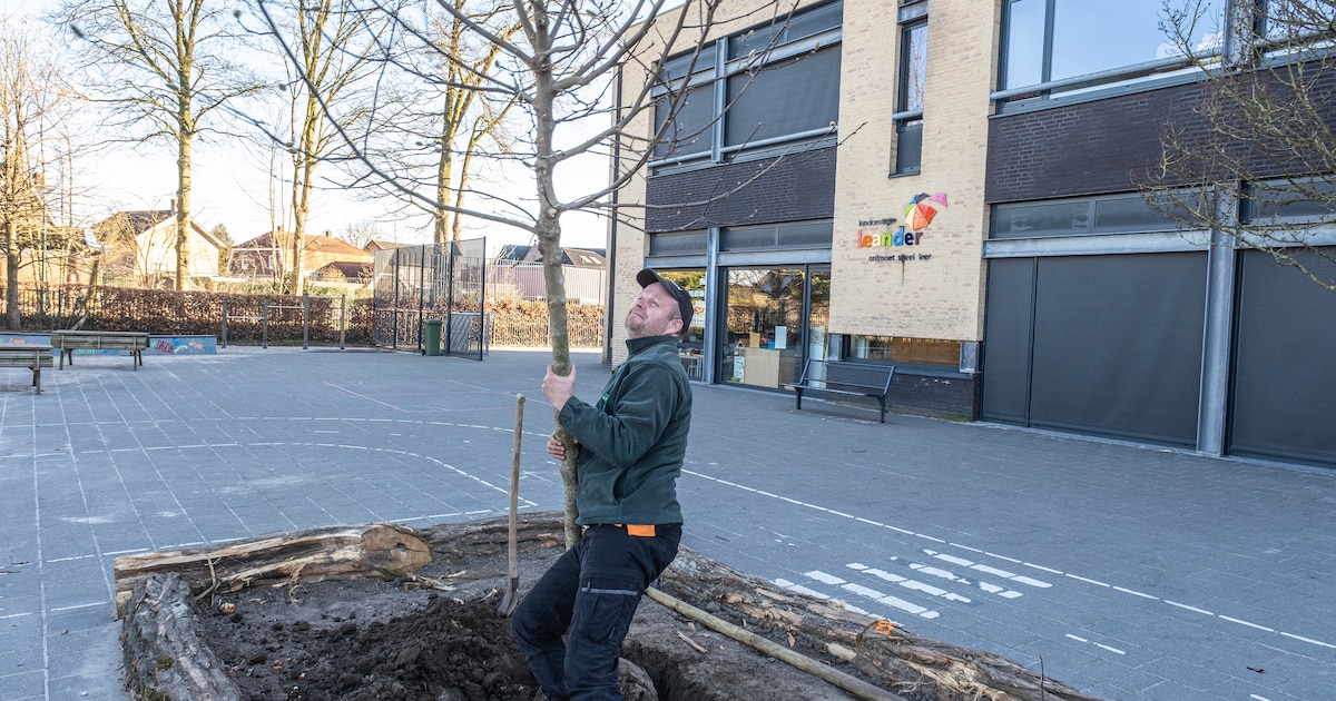 Baldadige jeugd Sint Anthonis meldt zich bij schooldirecteur: ‘Lof ...