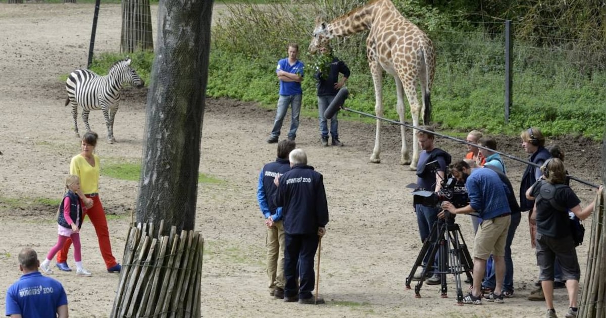 Leven familie Van Hooff verfilmd | Arnhem | De Gelderlander.nl