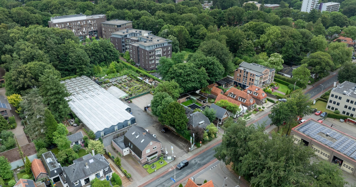 Harkes Tuincentrum maakt plaats voor 50 woningen voor ouderen met ...