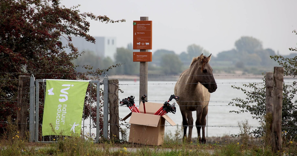 Schone rivieren expeditie: samen opruimen langs de Waal en Maas | West ...
