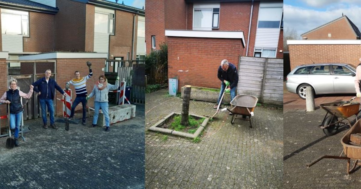 Stenen eruit, planten erin: bewoners Lopik zorgen voor groen in de wijk ...