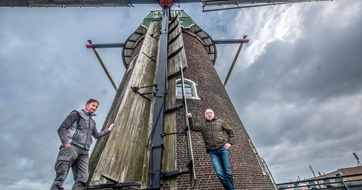 Nieuwe hoop voor Groesbeekse molen die voor het eerst meedoet aan ...