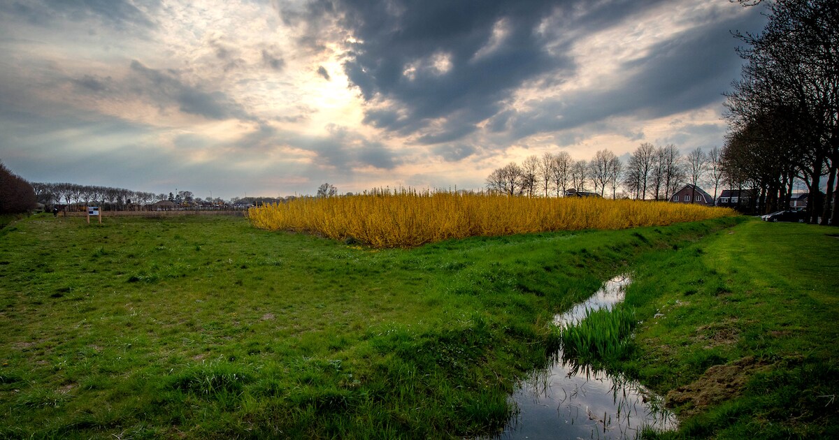 Winssen-Zuid krijgt 400 woningen en meer hoogbouw, alleen dan is ...