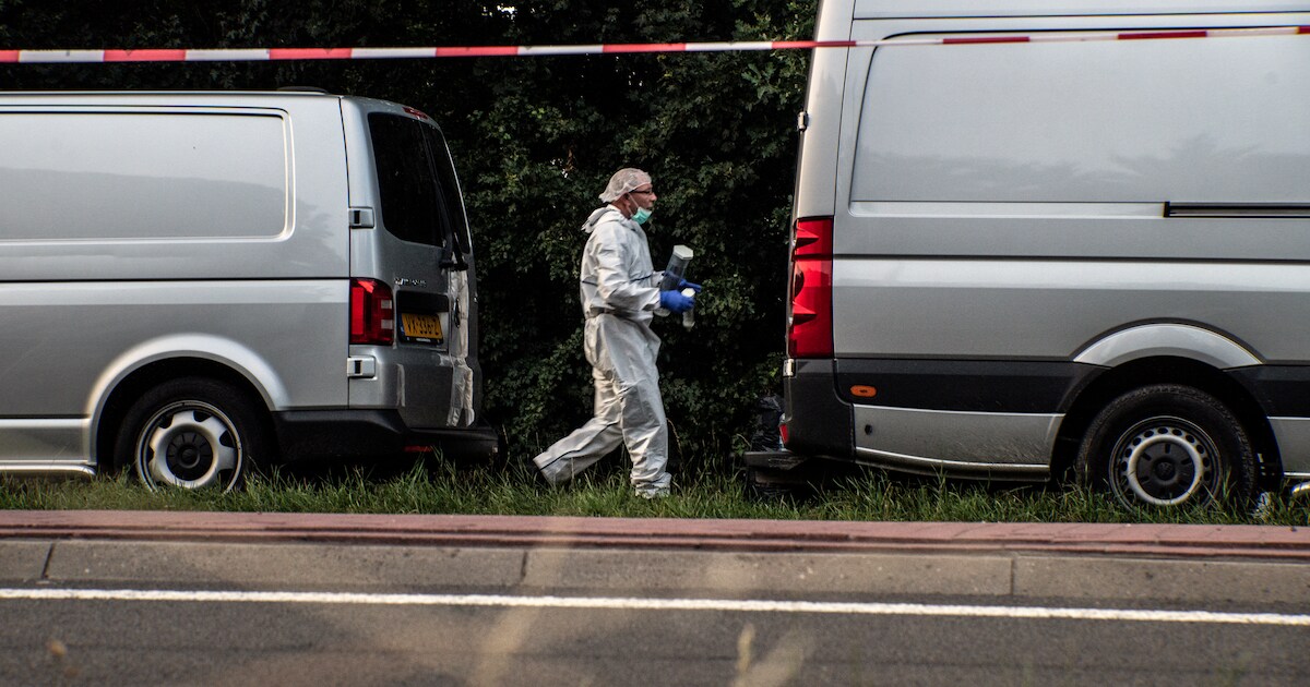 Leidde ruzie om vrouw tot ‘bosjesmoord’ op Nijmeegs-Poolse Jarek ...