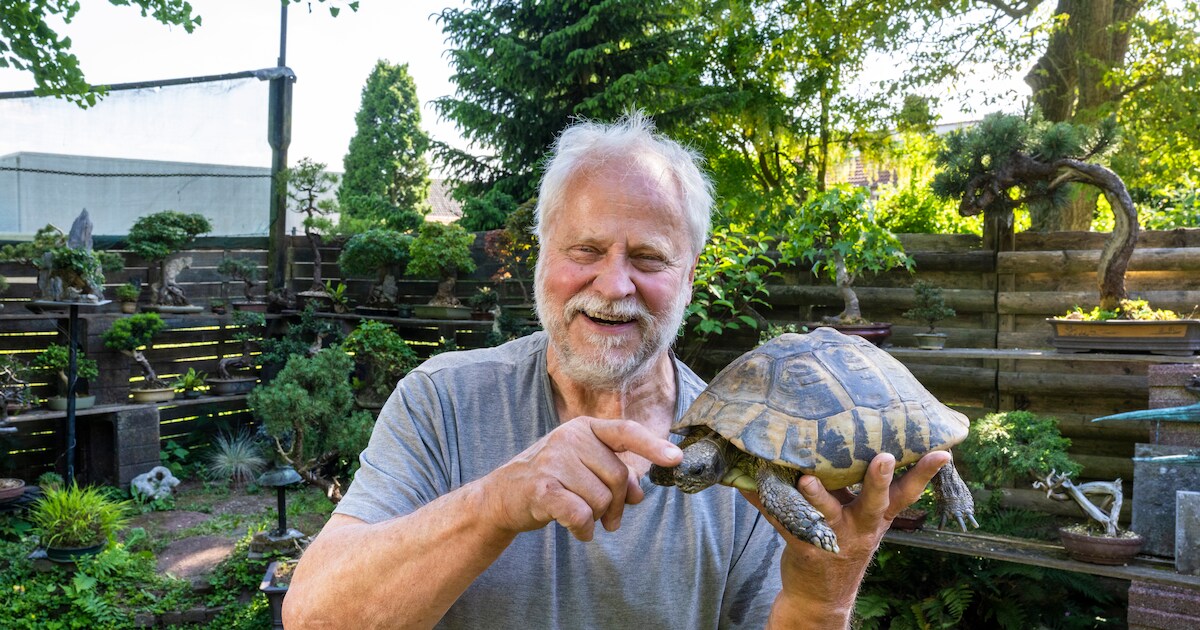 Een weggelopen schildpad, is dat nou echt nieuws voor in de krant ...