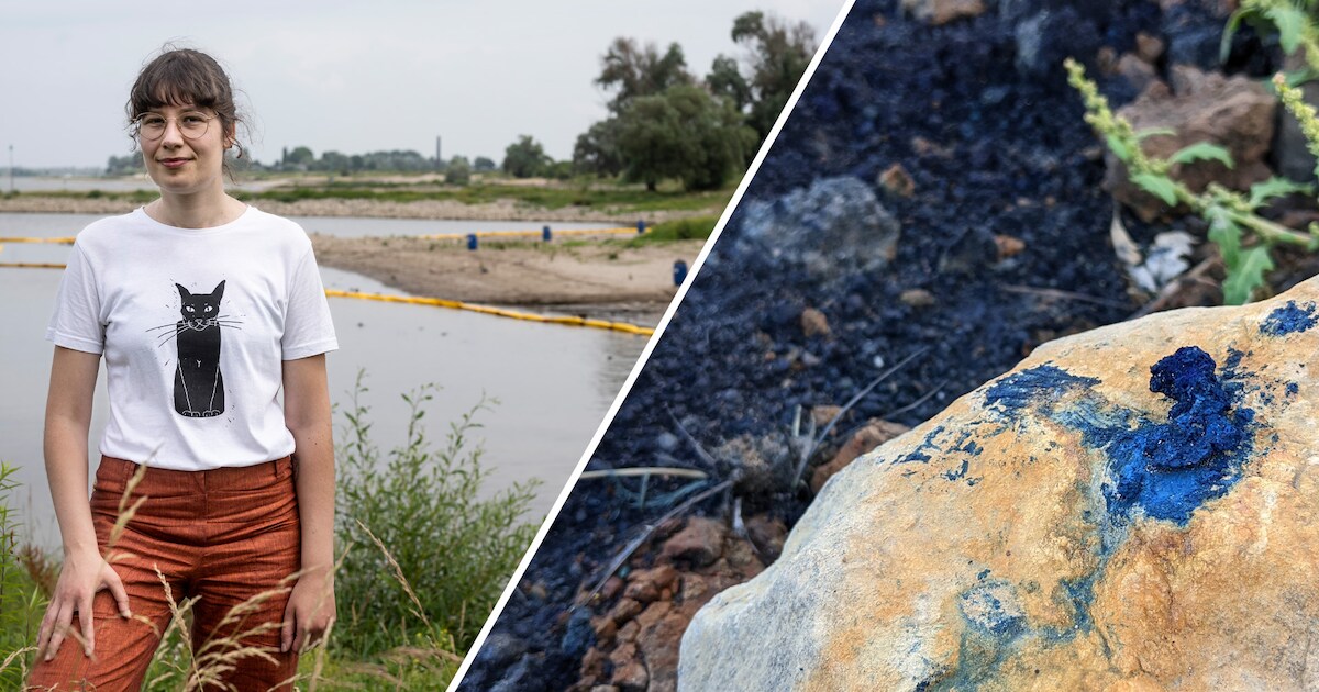 Met giftige stoffen vervuild Waalstrand wordt afgegraven, mogelijk hele ...