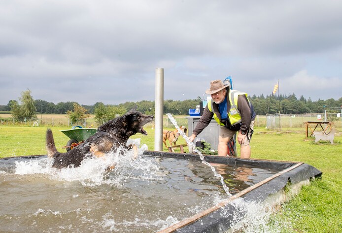 Hondenschool Rhenen die weg moet, vangt bot bij de politiek: ‘Maar ...