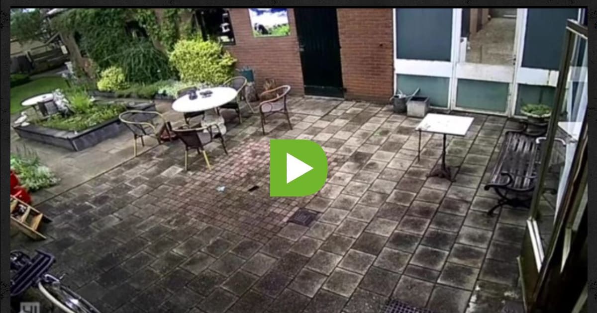 Stel duikt onder na heftig filmpje op Dumpert: ‘Wij hebben geen leven ...