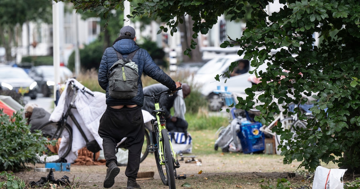 Miljoenen om daklozen van straat te halen in Nijmegen: extra opvang en ...
