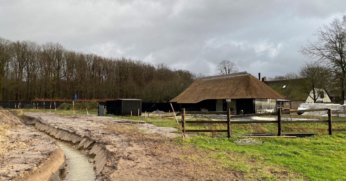 Wie heeft een sloot van 70 meter op andermans grond gegraven? ‘Dat doe ...
