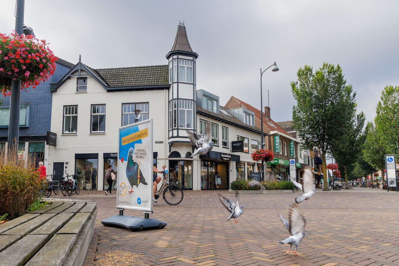 Johnny en Donny (en al die andere stadsduiven) maken het bont: ‘Ze ...