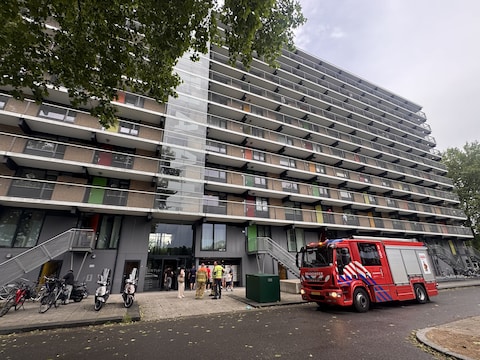Noodweer in de regio: boom valt tegen school in Diepenveen, huishoudens ...