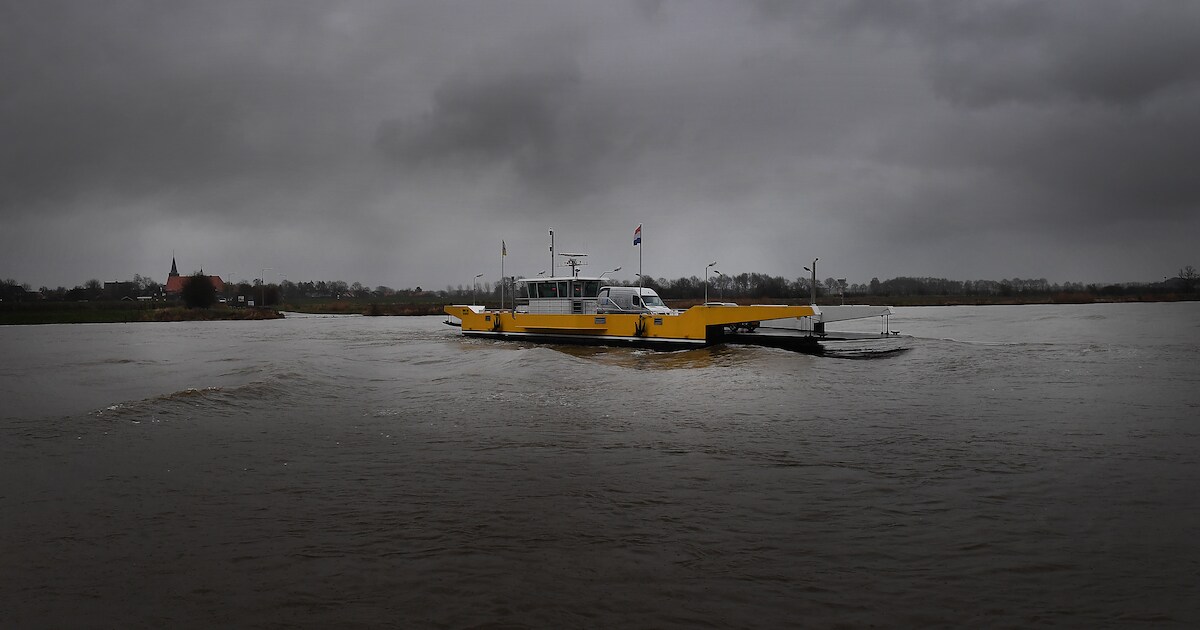 Hoogwater: dijkwachten en schotten in kadewanden wegens hoge Maas ...