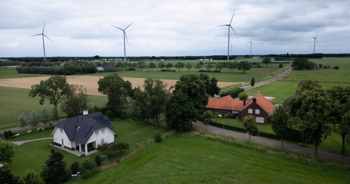 De nieuwe Don Quichote woont in Netterden: ‘Geld verdienen mag, maar ...