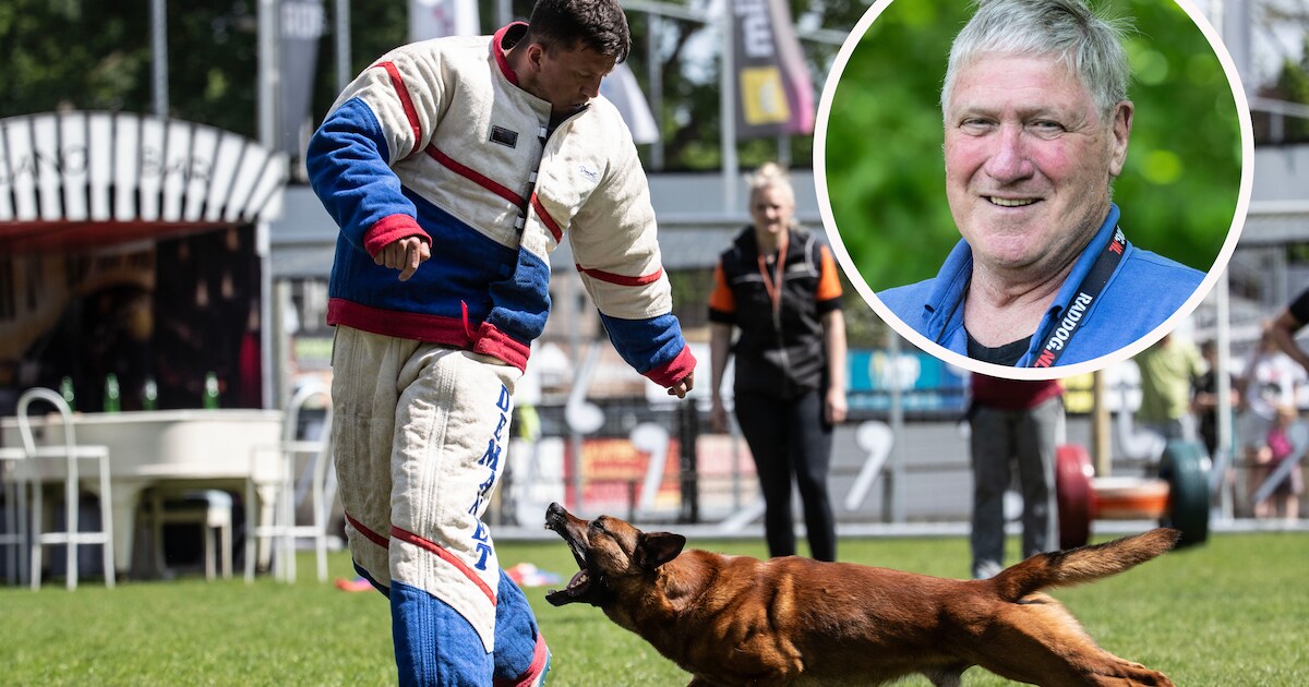 Als kind mocht Gerard (73) geen hond hebben, maar inmiddels is hij een ...