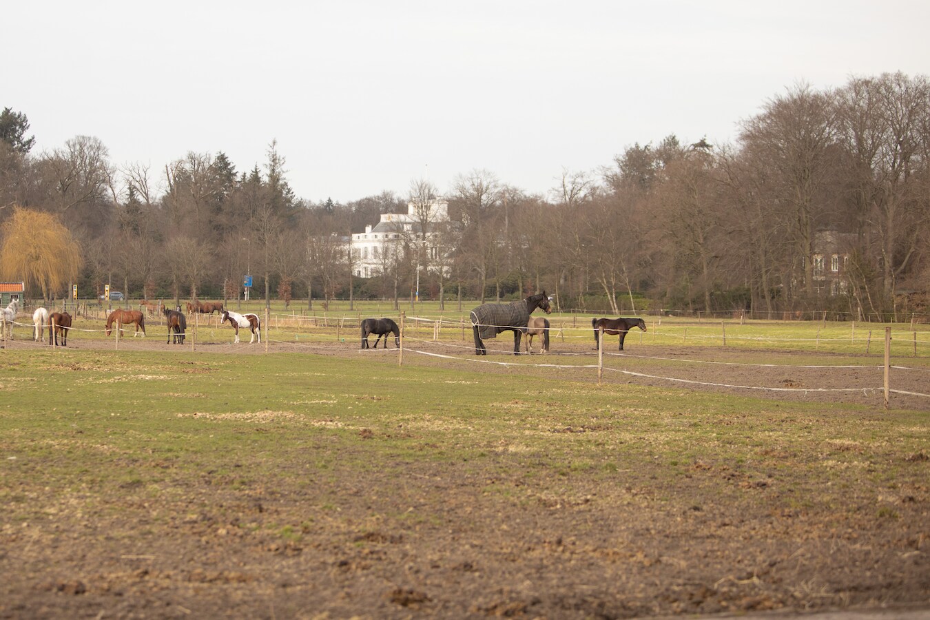 Oud-timmerman van Paleis Soestdijk waant zich koning in woning van ...