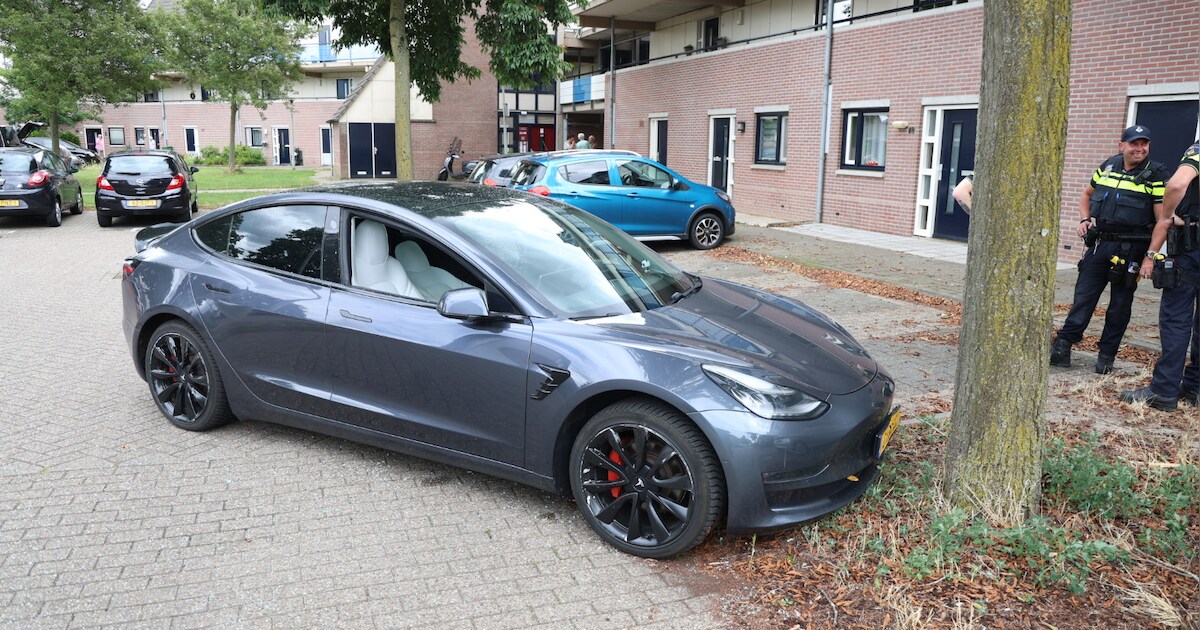 Tesla botst op boom midden in Arnhemse woonwijk, bestuurder mogelijk ...