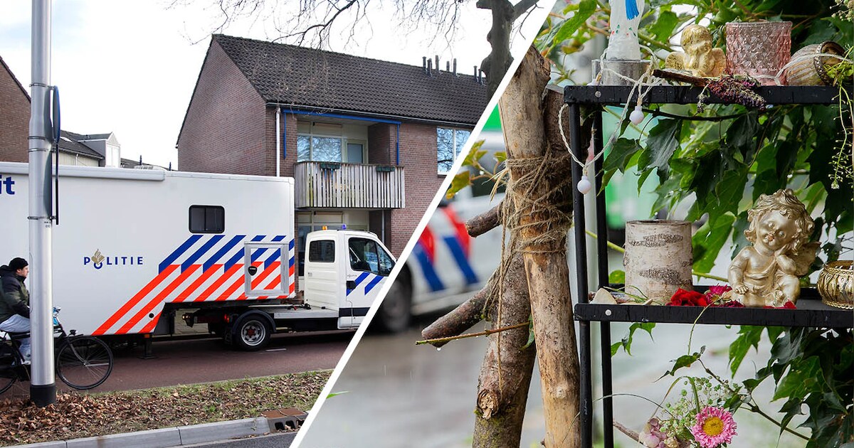 Verdachten van Nijmeegse moorden op jonge moeder en kunstenaar Rob ...