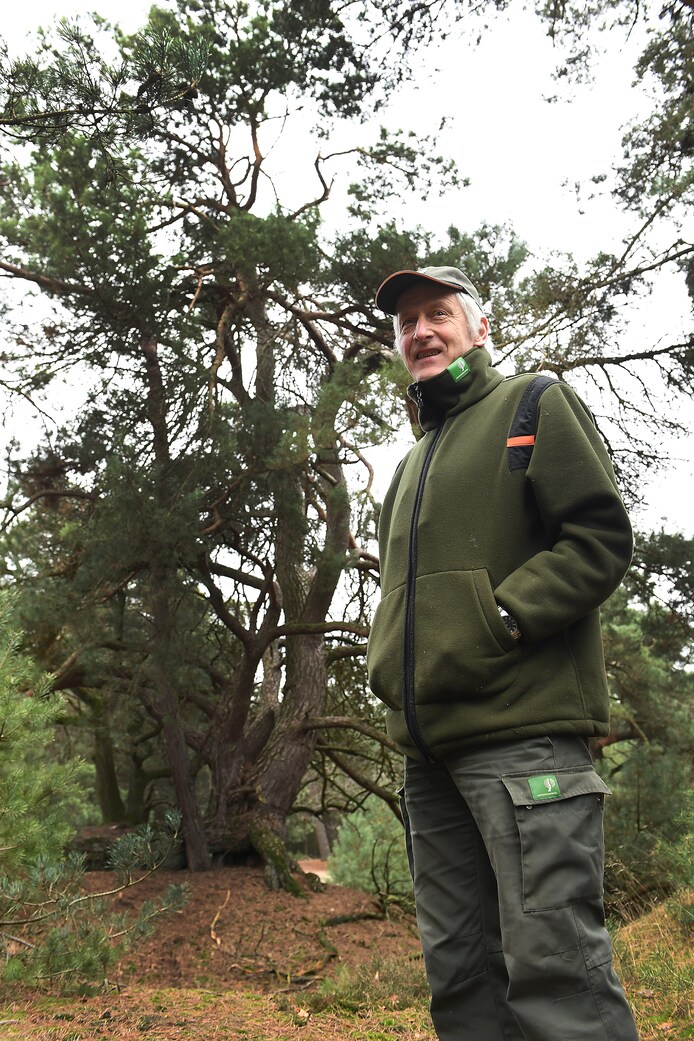 Frank van Kalleveen, het gezicht van het bos, vertrekt | St. Anthonis ...