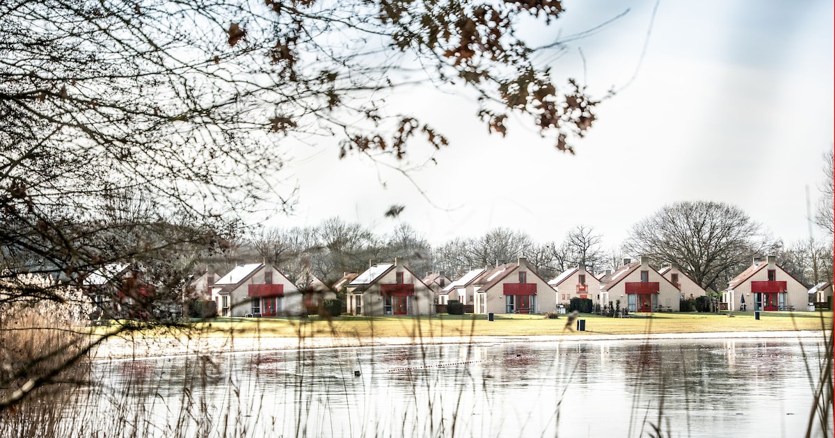 Tegen alle hoop in failliet: Sander deed er alles aan om vakantiepark ...